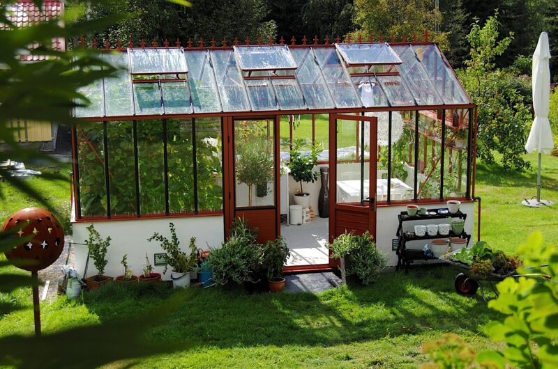 Why Build a Greenhouse? Unlock the Benefits for Your Garden - Coldwell Banker Big Creek Realty ...
